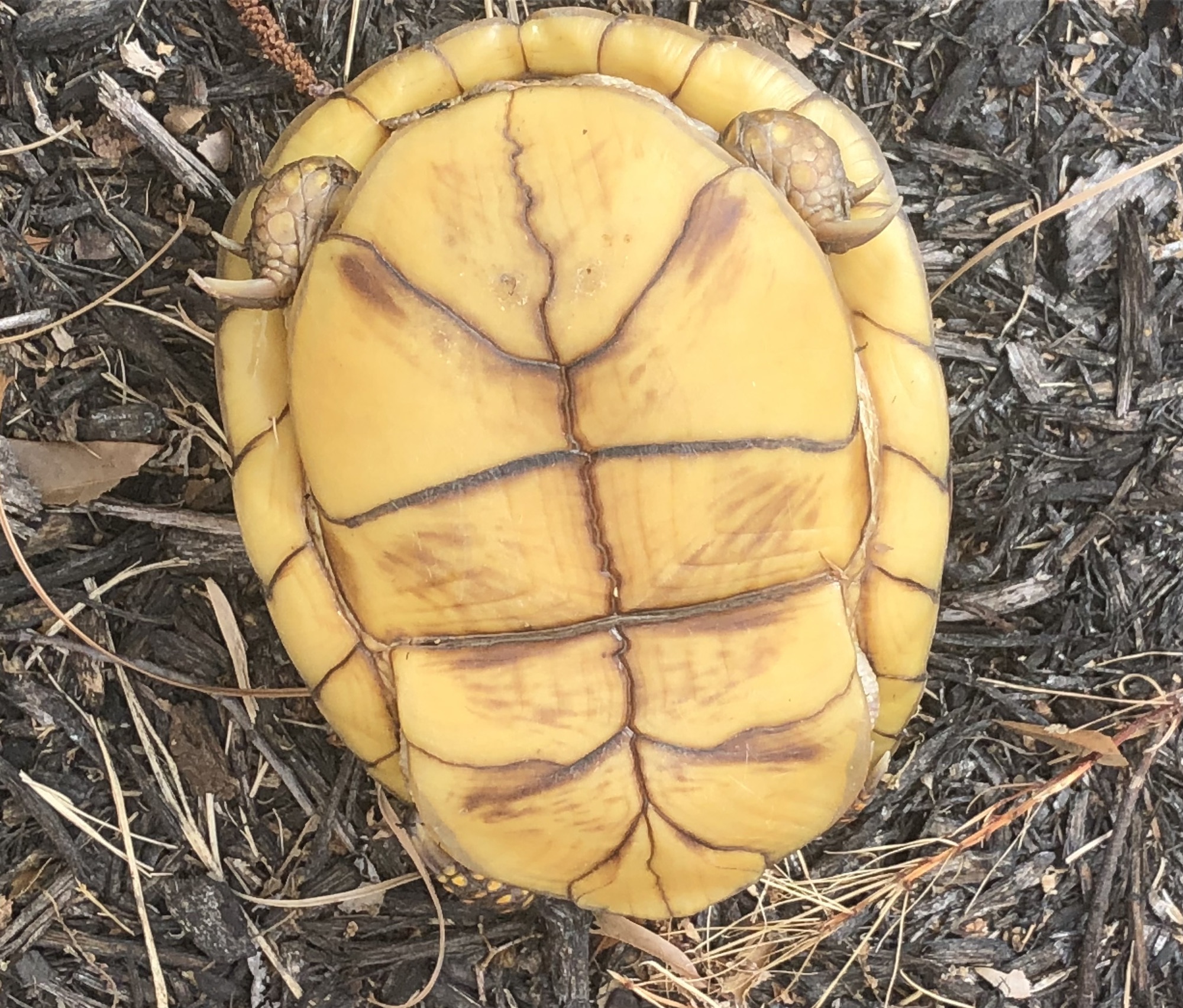 The Y In The Road | THE CIRCUS . . . . . . . . . AND THE ZOO